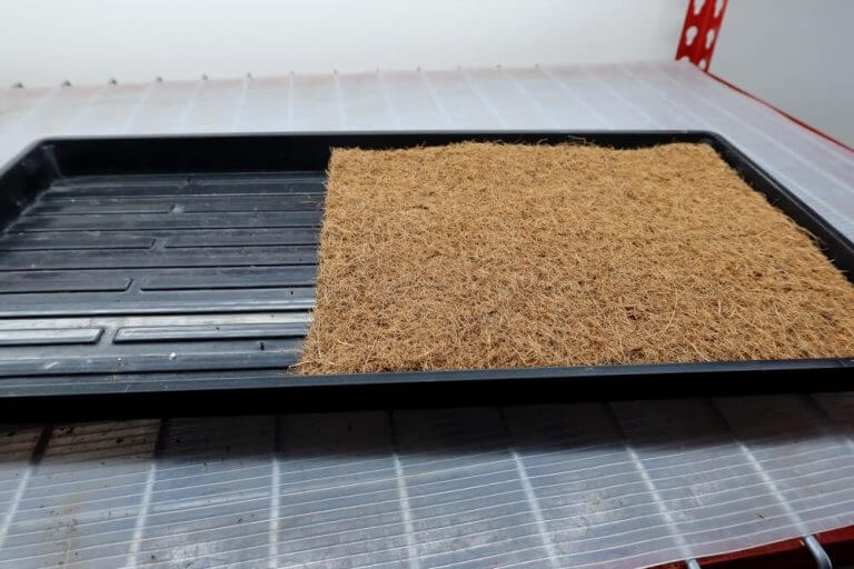 Coco Coir Fiber Grow Mat - Home Microgreens