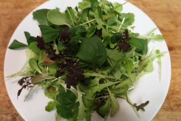 Mesclun Salad Mix Seed - Organic - Home Microgreens